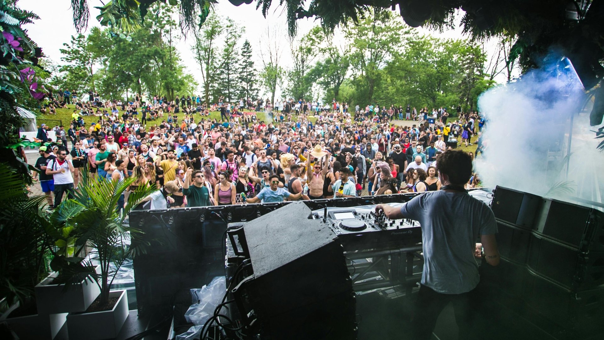 Festival Shrooming: Why Magic Mushrooms Are 2024's Top Pick - Microgenix